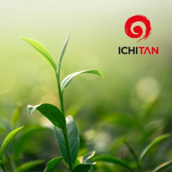 Ichitan Green Tea | Ichitan Group