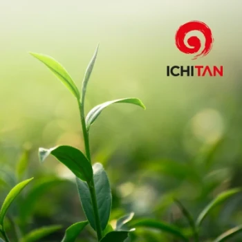 Ichitan Group